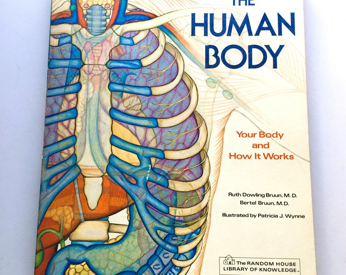 The Human Body, Anatomical Line Drawings, Softcover Reference Book - Etsy