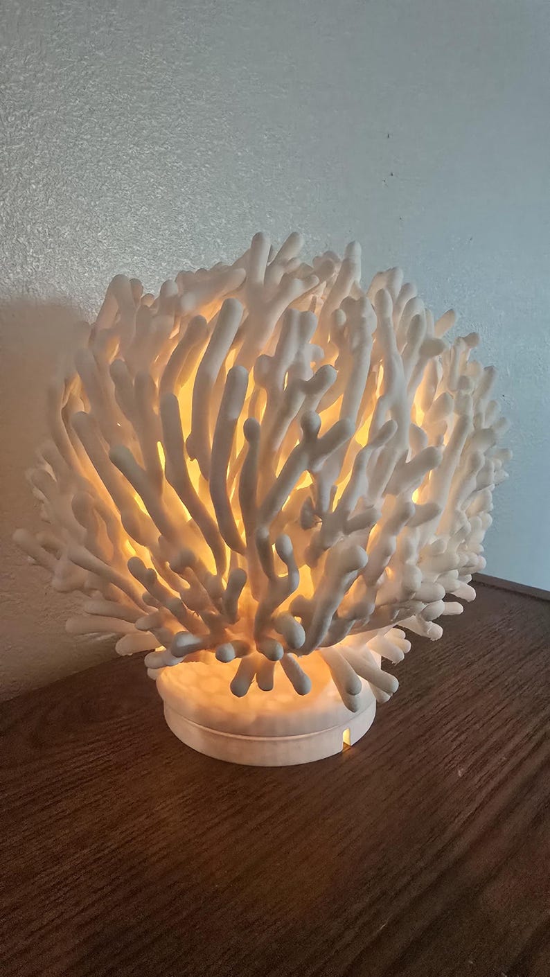 Coral Lamp, Nautical Coastal Decor, Gift for Homewarming, Beach House ...