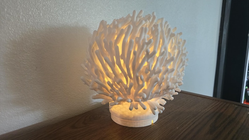 Coral Lamp, Nautical Coastal Decor, Gift for Homewarming, Beach House ...