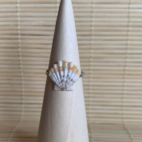 Sunrise Shell - Etsy