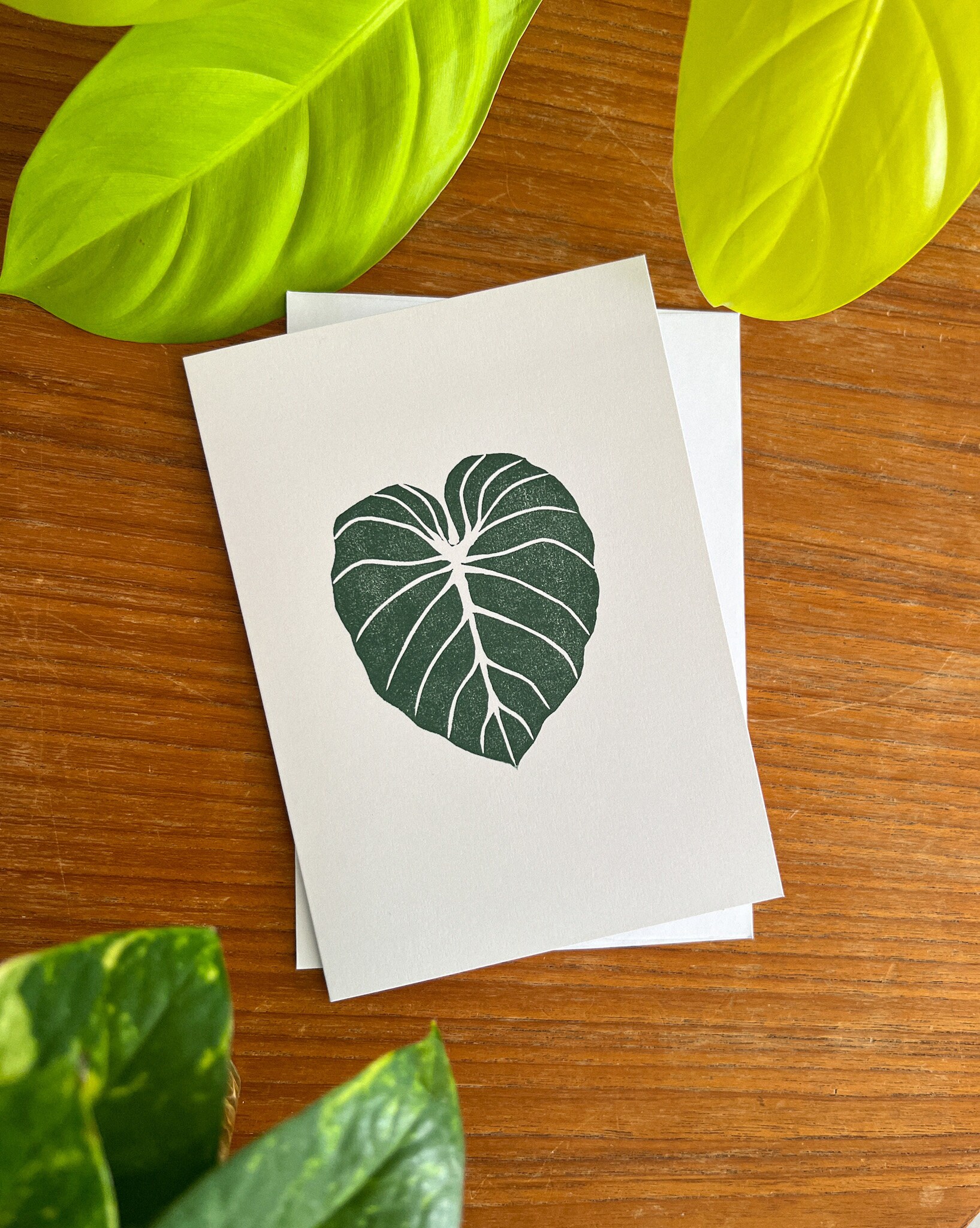 Plant Notecards | Plant Leaf Greeting Card 5x7 | Set of 3 | Hand Carved ...