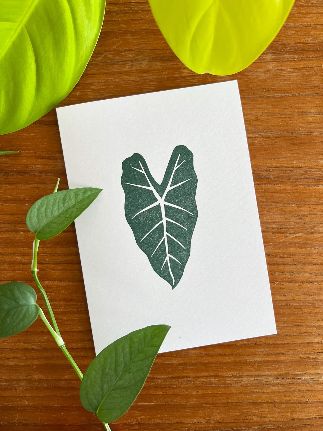 Plant Notecards | Plant Leaf Greeting Card 5x7 | Set of 3 | Hand Carved ...