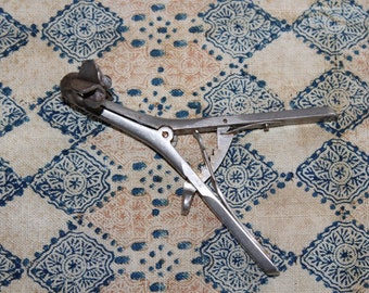 Early Embalming Instrument Kit - Etsy