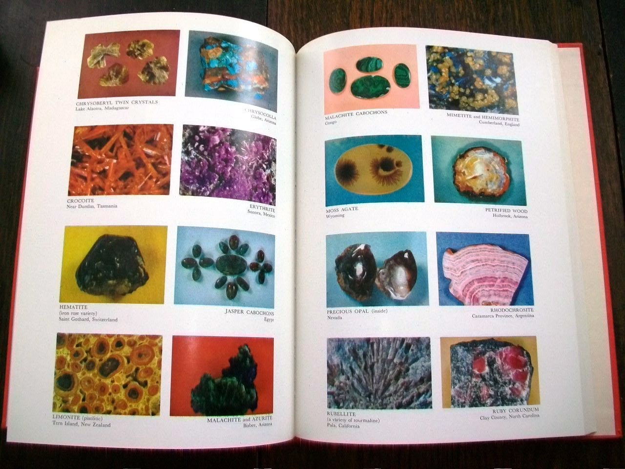 Successful Mineral Collecting and Prospecting 1961 Large Vintage Book
