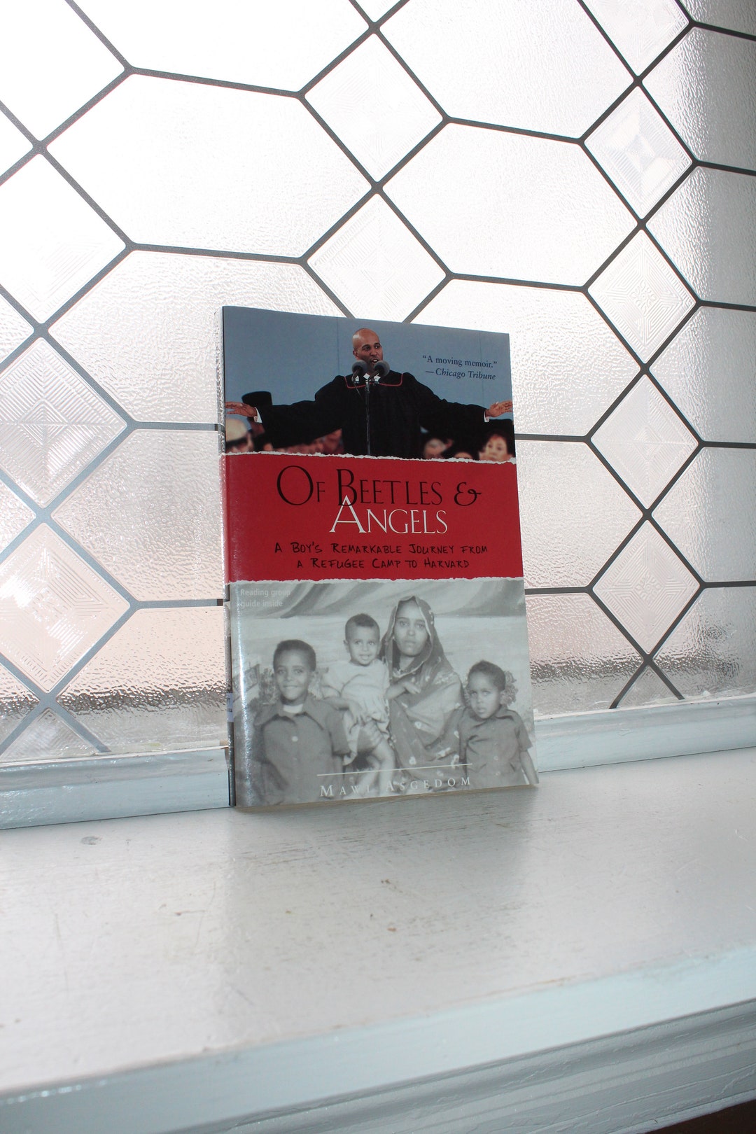 Vintage Book of Beetles & Angles by Mawi Asgedom Refuge Memoir - Etsy