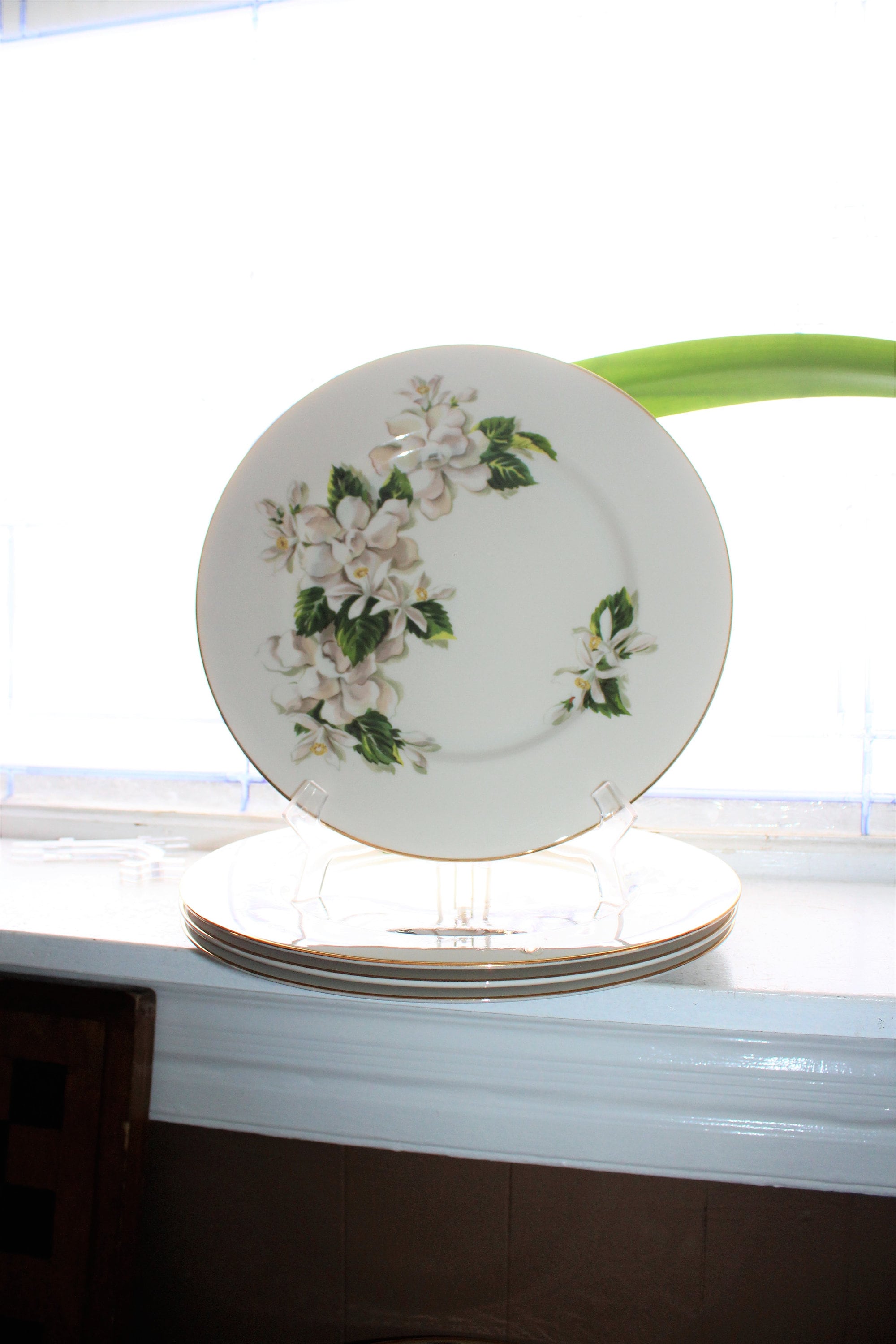 3 Vintage Fine Arts China Dinner Plates Orange Blossoms & Gardenia
