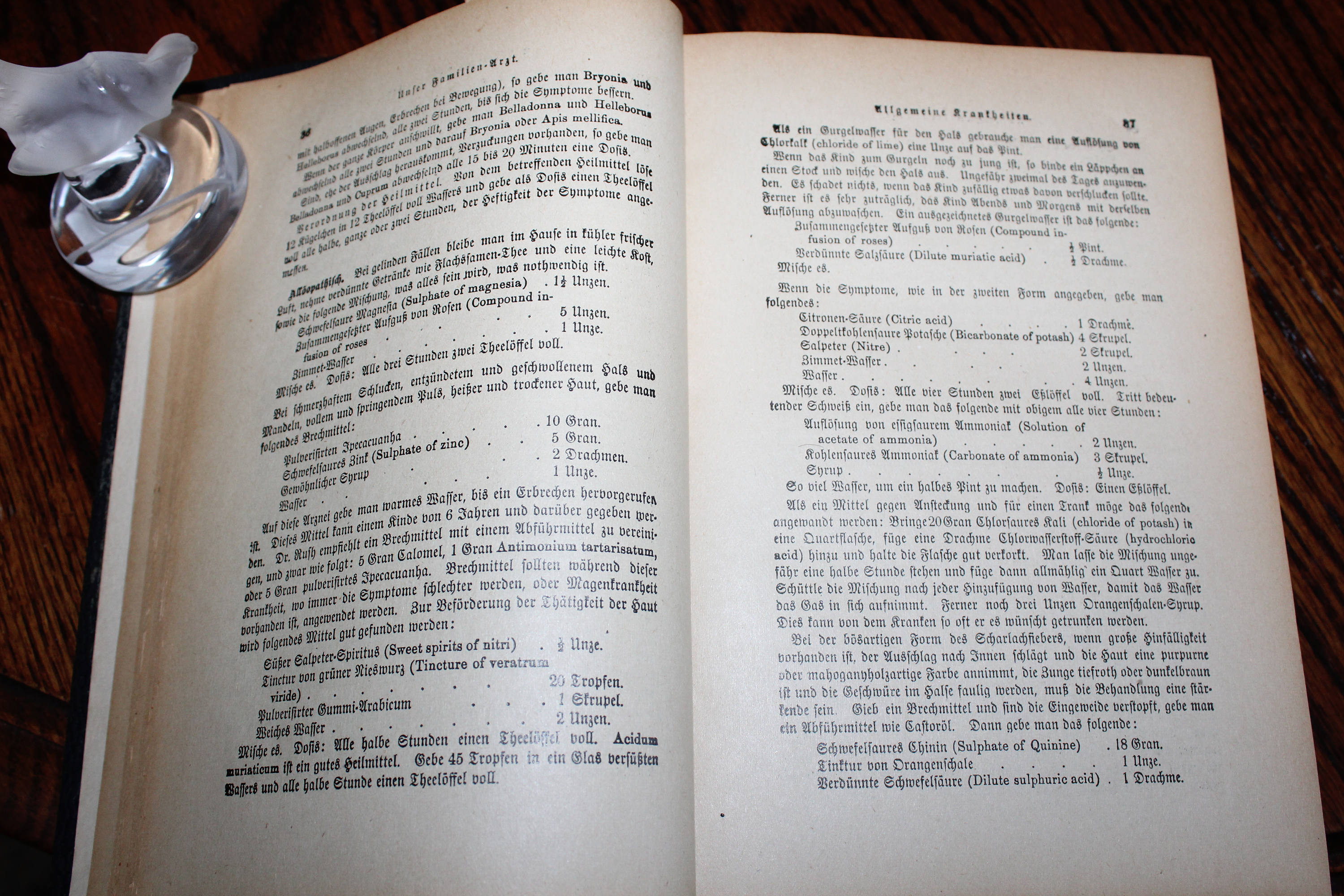 Antique 1883 German Book Our Family Doctor Unser Familien Arzt