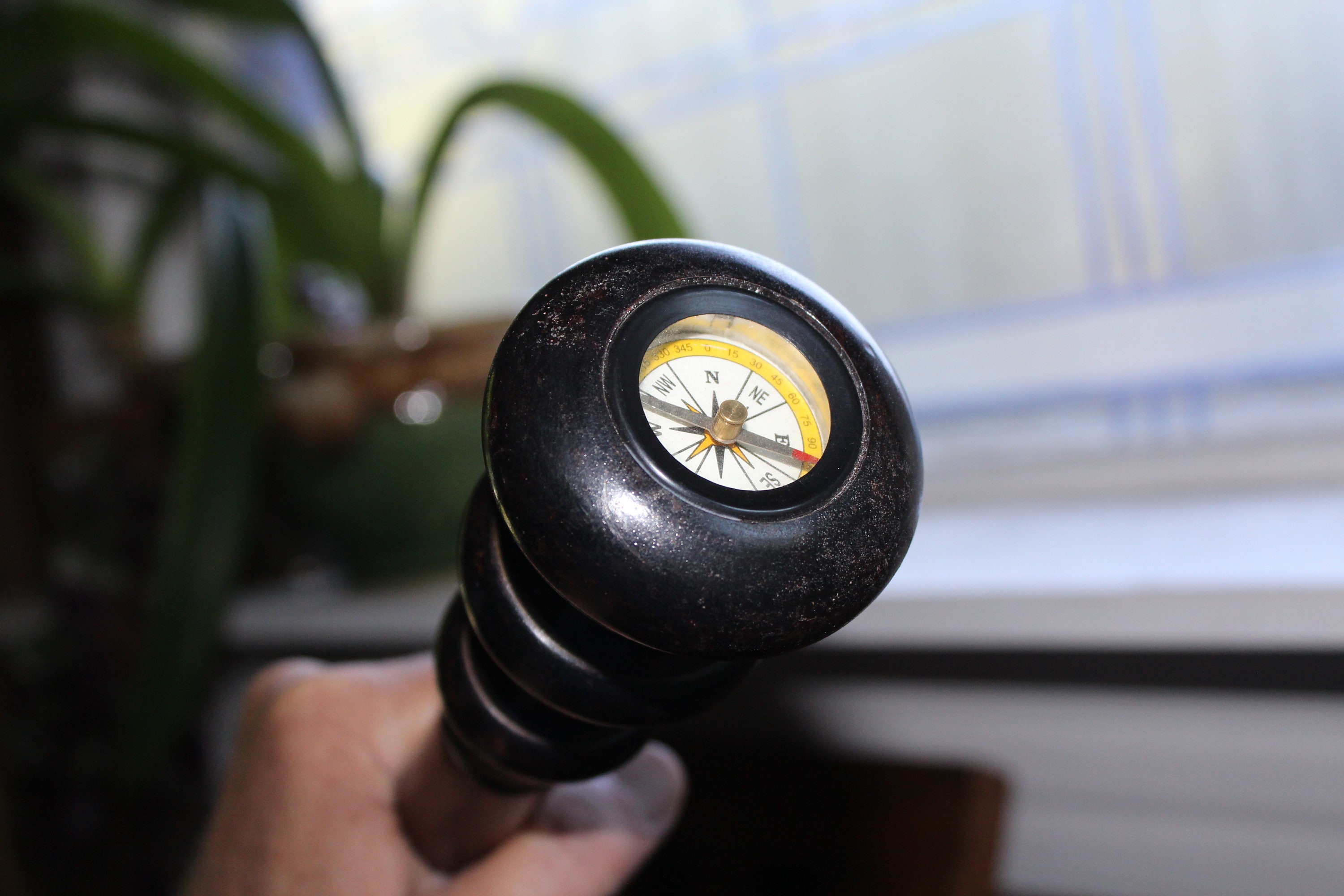 Antique Walking Stick Cane with Compass and Cast Iron Handle