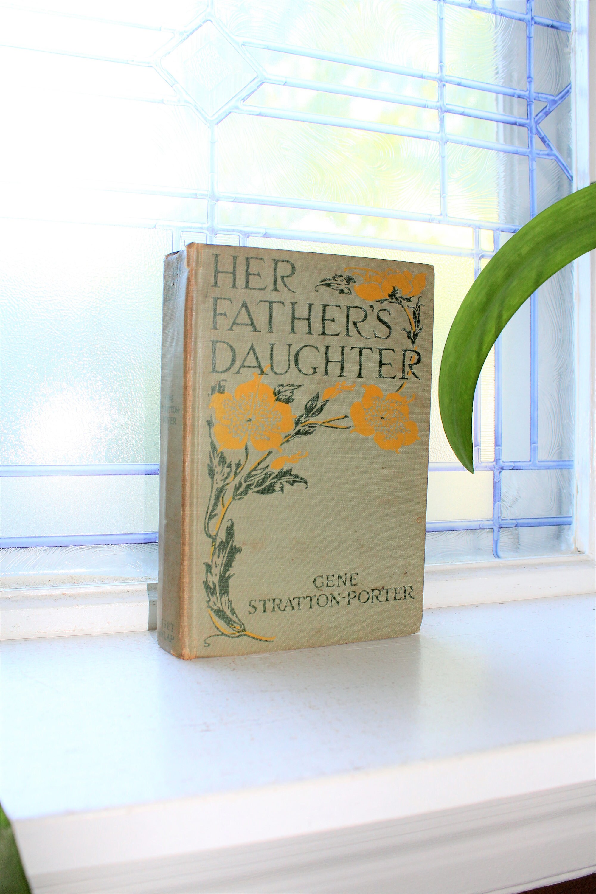 Her Father's Daughter Gene Stratton Porter Antique Book