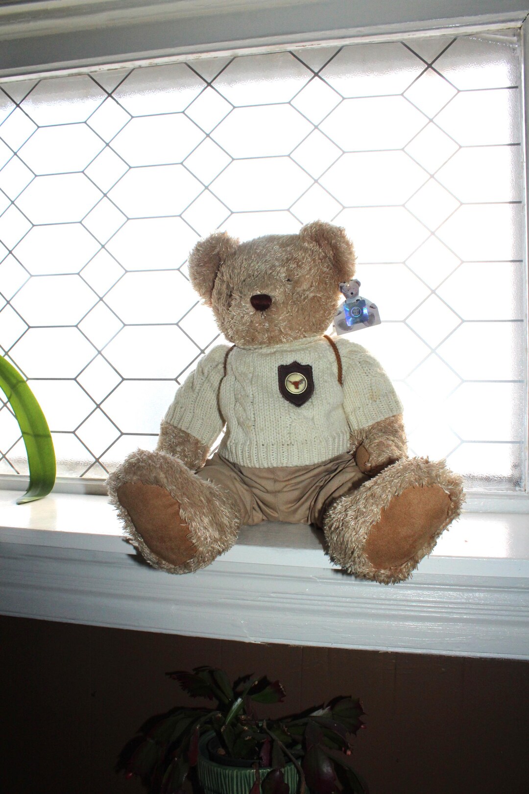 University of Texas Teddy Bear With Book Bag & Tag Max Caddie Bear - Etsy