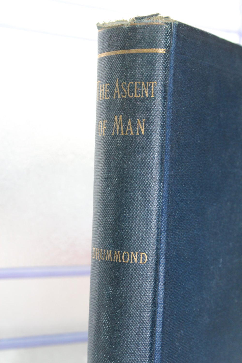 Antique 1894 Book The Ascent Of Man Henry Drummond