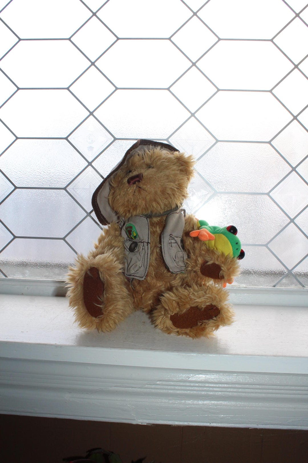 Rainforest Rudy Ranger Teddy Bear With Frog 12" - Etsy