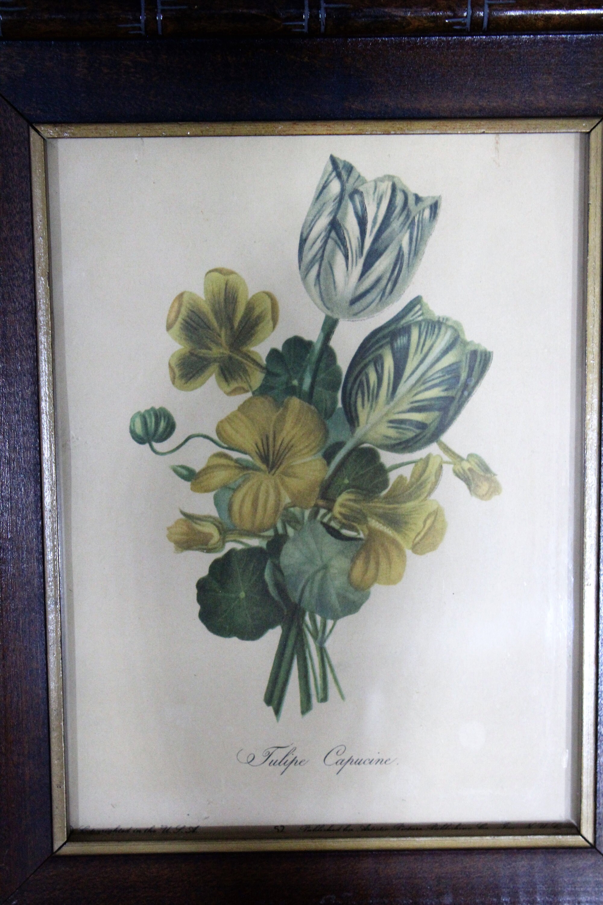 Antique Lithograph Flowers Print Artistic Picture Publishing Company