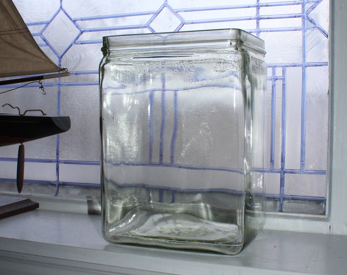 Antique Battery Jar Large Glass Terrarium Vase - Etsy