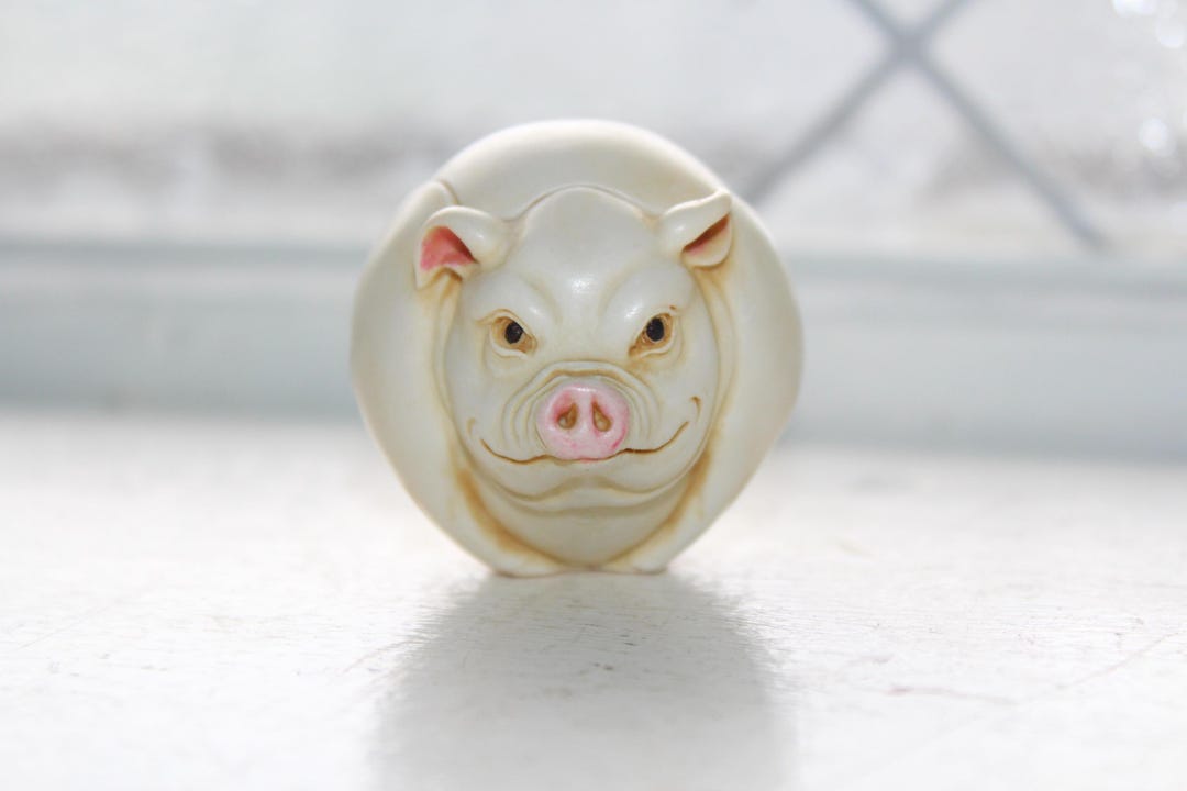 Harmony Kingdom Roly Poly Curly Pig Treasure Trinket Box - Etsy