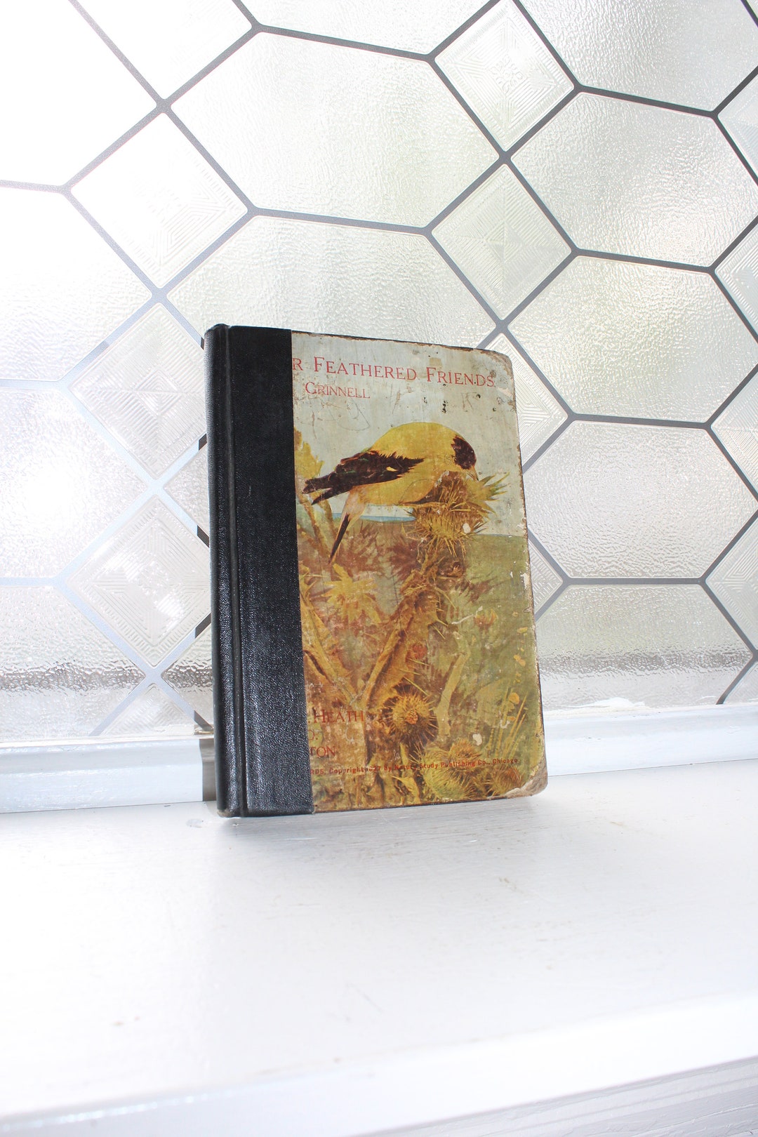 Antique 1898 Bird Book Our Feathered Friends by Elizabeth & Joseph ...