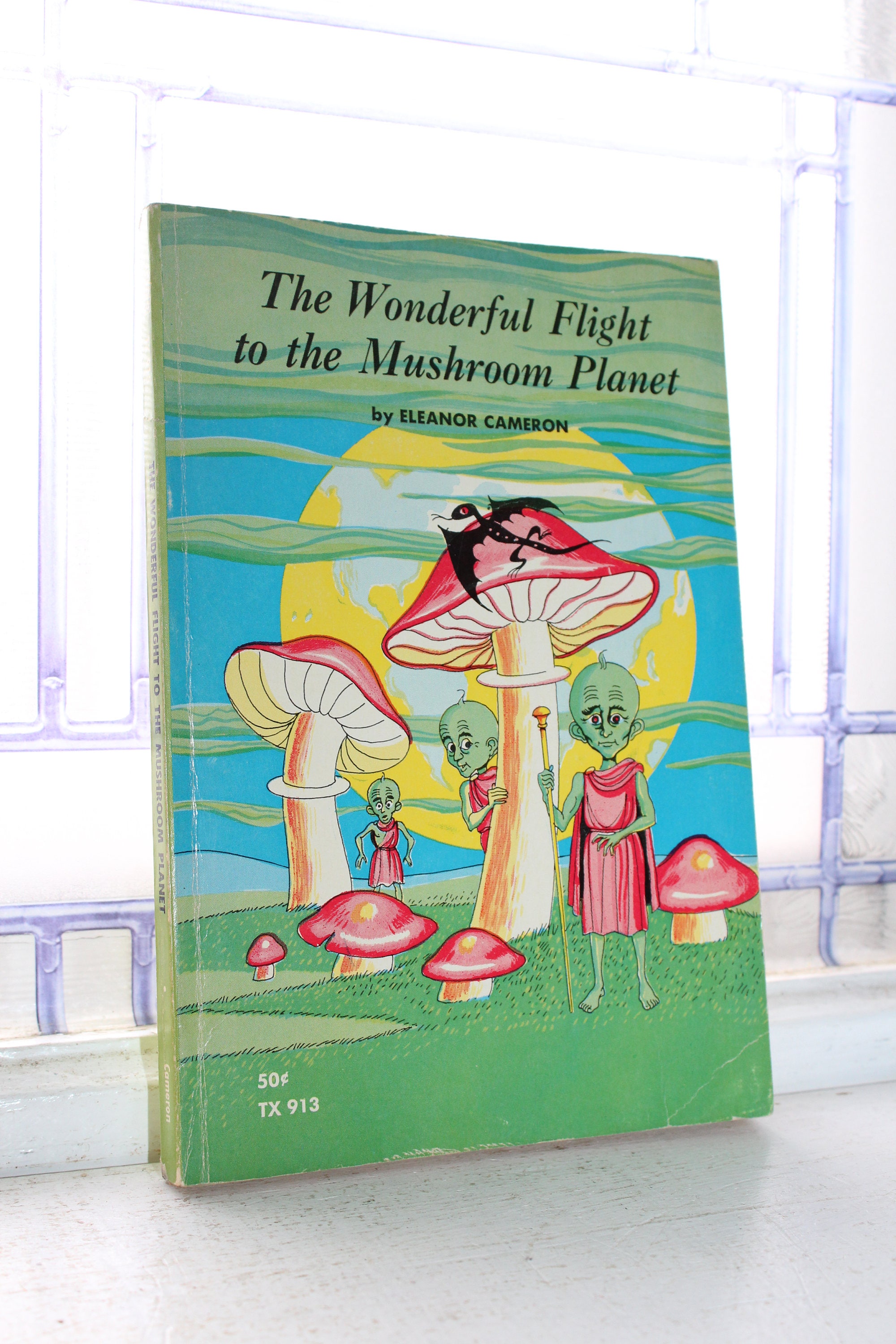 The Wonderful Flight To The Mushroom Planet Vintage Book 1966