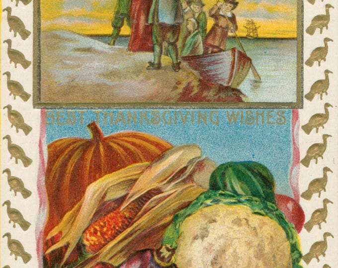 Vintage Thanksgiving Postcard, Pilgrims, Cornucopia, and Turkeys Border ...