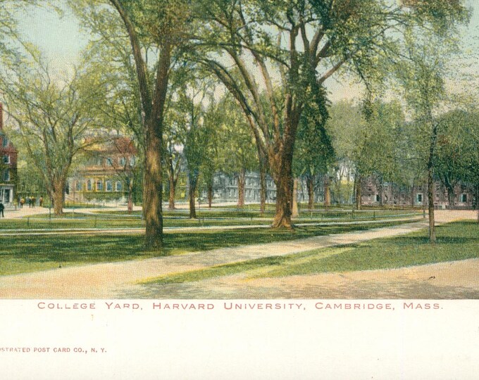 Vintage Postcard, Harvard University, Cambridge, Massachusetts, College ...