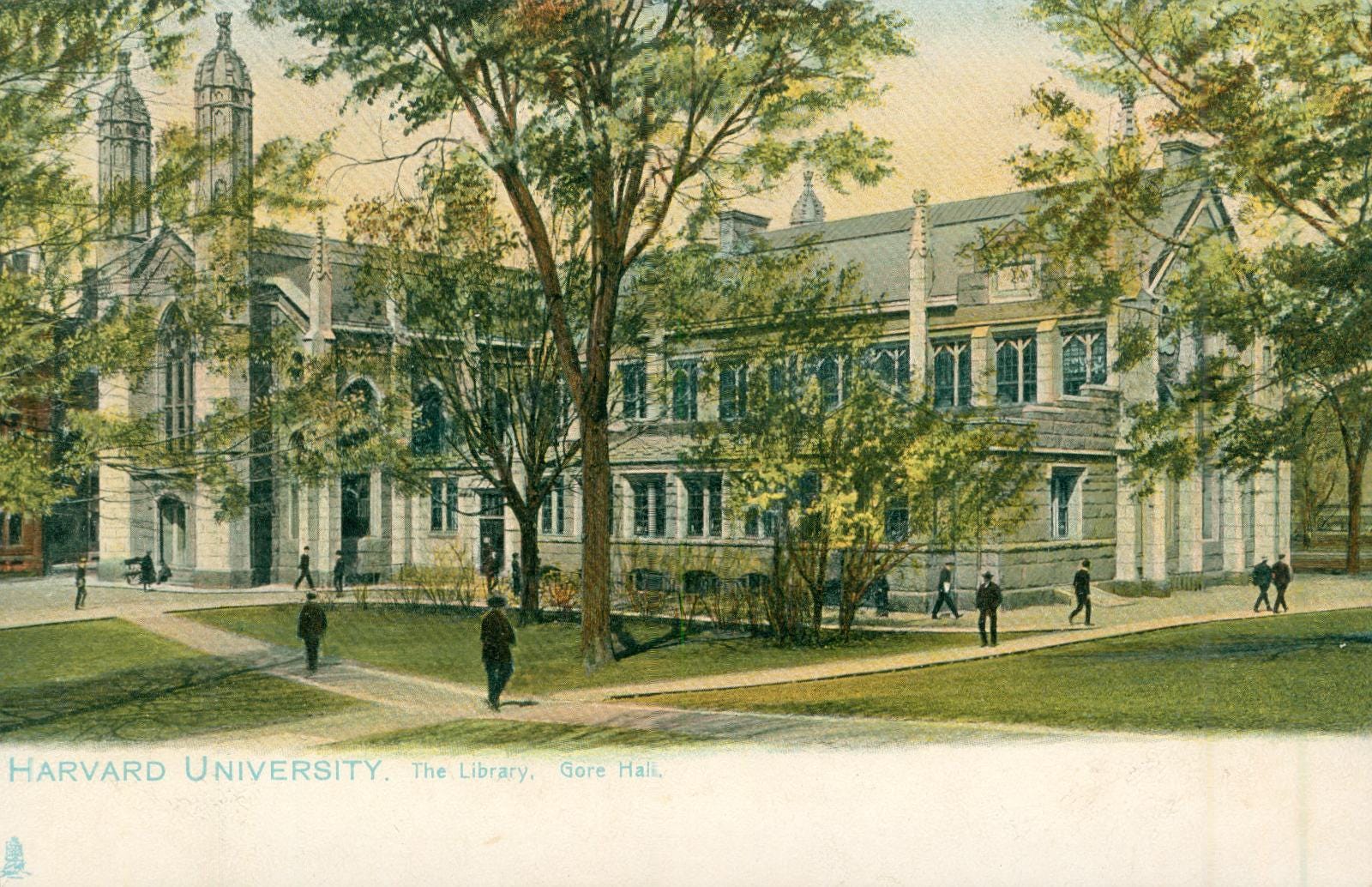 Vintage Postcard, Cambridge, Massachusetts, Harvard University Library ...