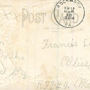 Vintage Good Wishes Postcard, Girl With Flowers, Grapes, 1911 - Etsy