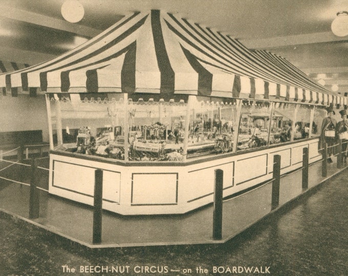 Linen Postcard, Atlantic City, New Jersey, Beech Nut Circus on the ...