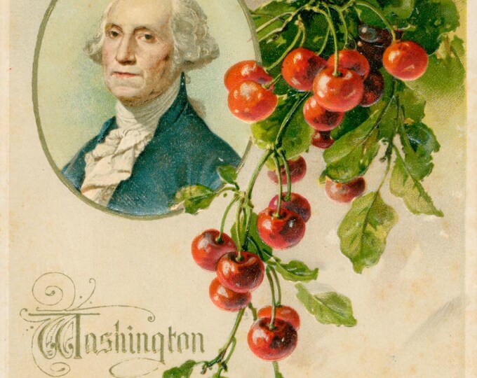 Vintage Postcard, George Washington, Cherries, Washingtons Birthday ...
