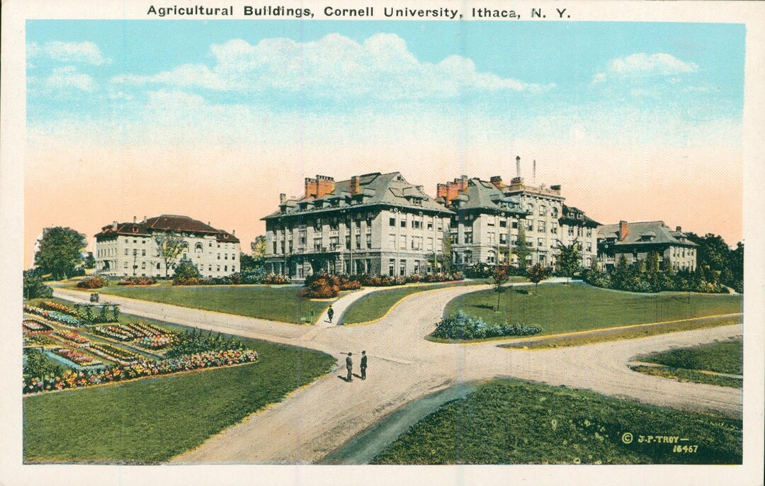 Vintage Postcard, Ithaca, New York, Cornell University, Agricultural ...