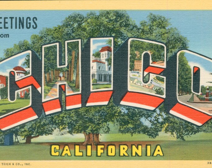 Linen Postcard, Greetings From Chico, California, State College, Large ...