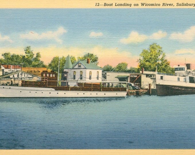 Linen Postcard, Salisbury, Maryland, Boat Landing on Wicomico River - Etsy