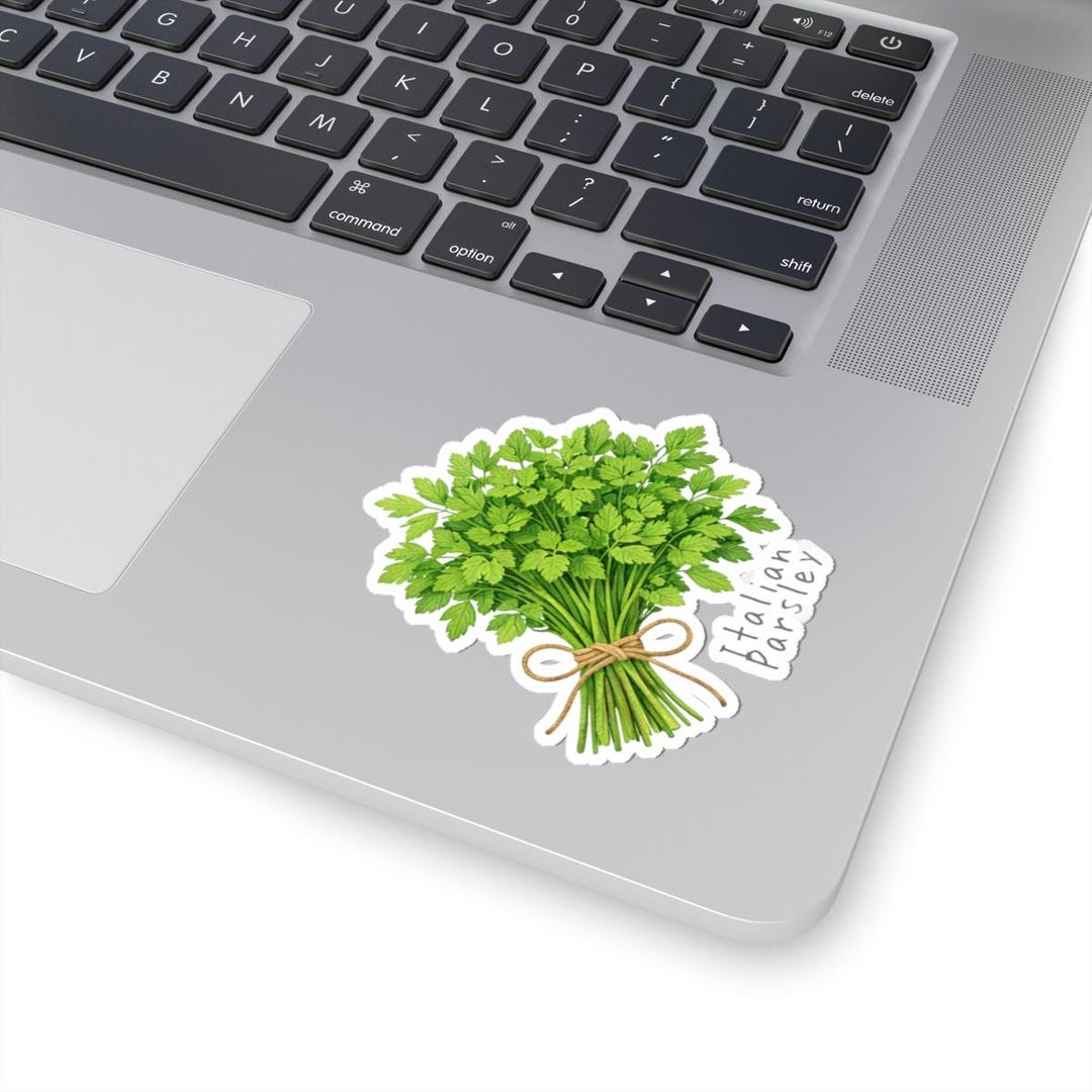 Hand Drawn Italian Parsley Sticker Botanical Vinyl for Laptop Journal ...