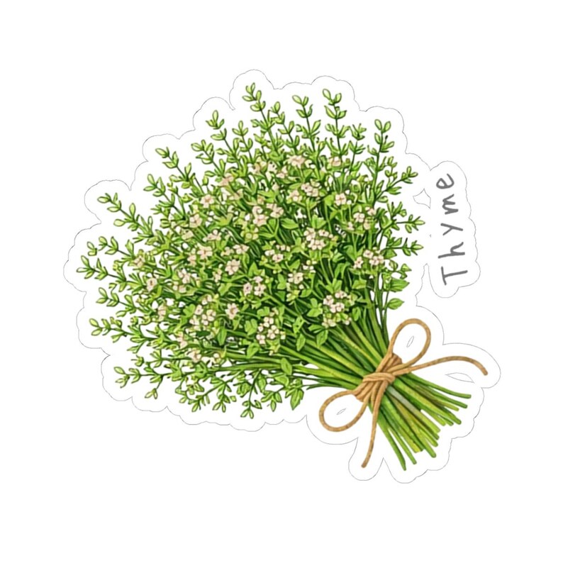 Hand-Illustrated Thyme Bouquet Sticker Botanical Vinyl for Laptop ...