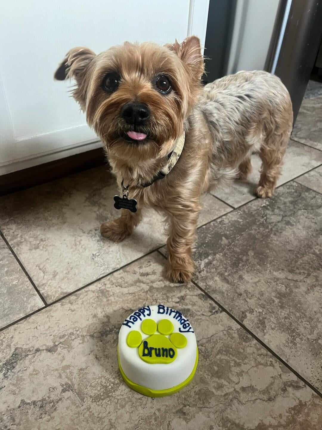 Personalized Birthday 4 Inch Dog Birthday Cake Peanut Butter Banana ...