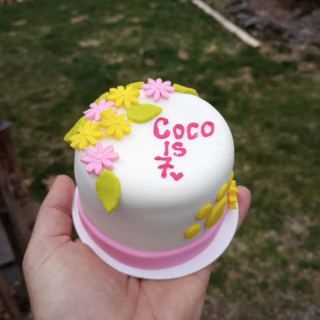 Kate Fredrickson's Instagram, Twitter & Facebook on IDCrawl