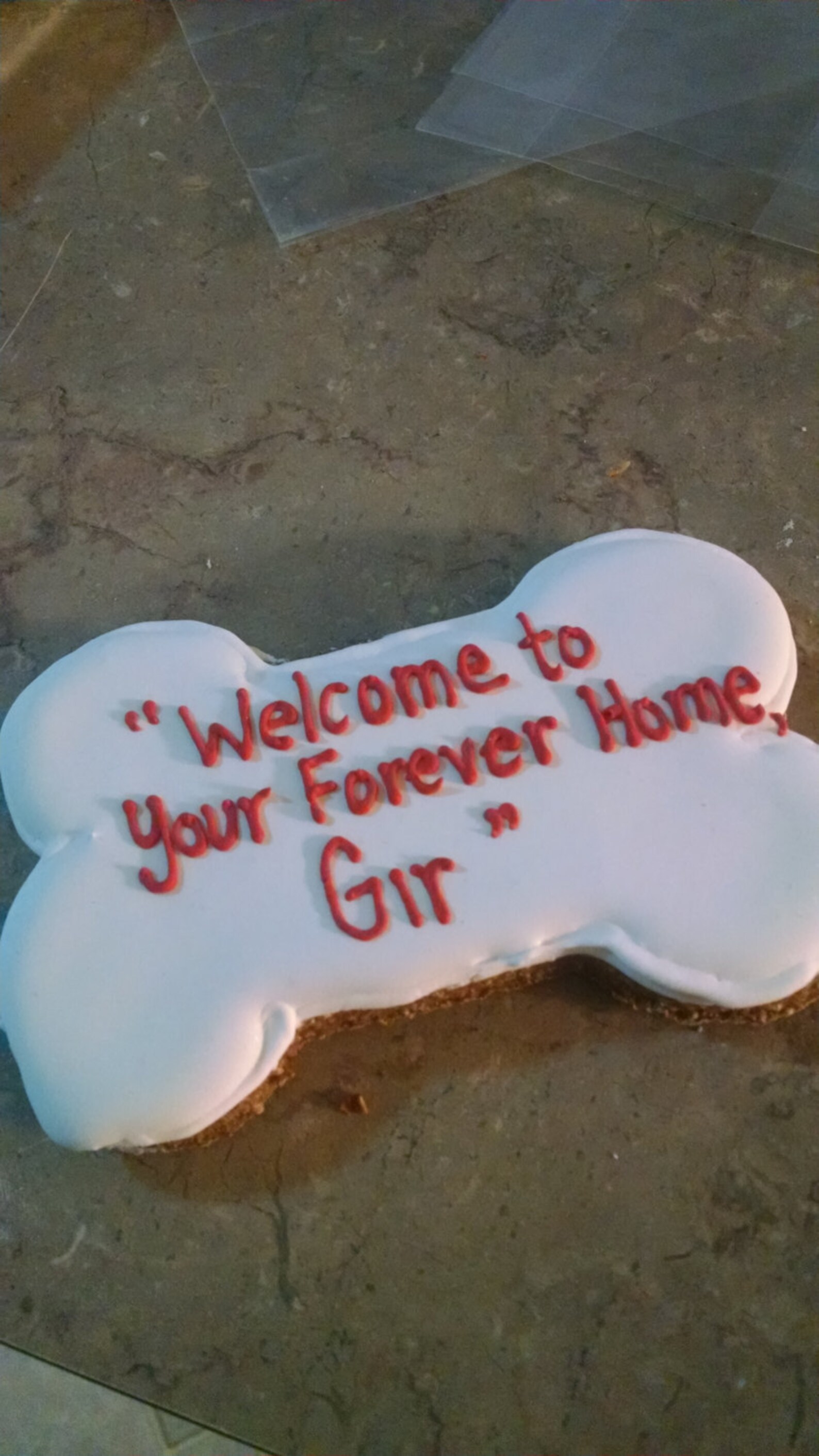 Extra Large Personalized Bone Your Personal Message on Bone - Etsy