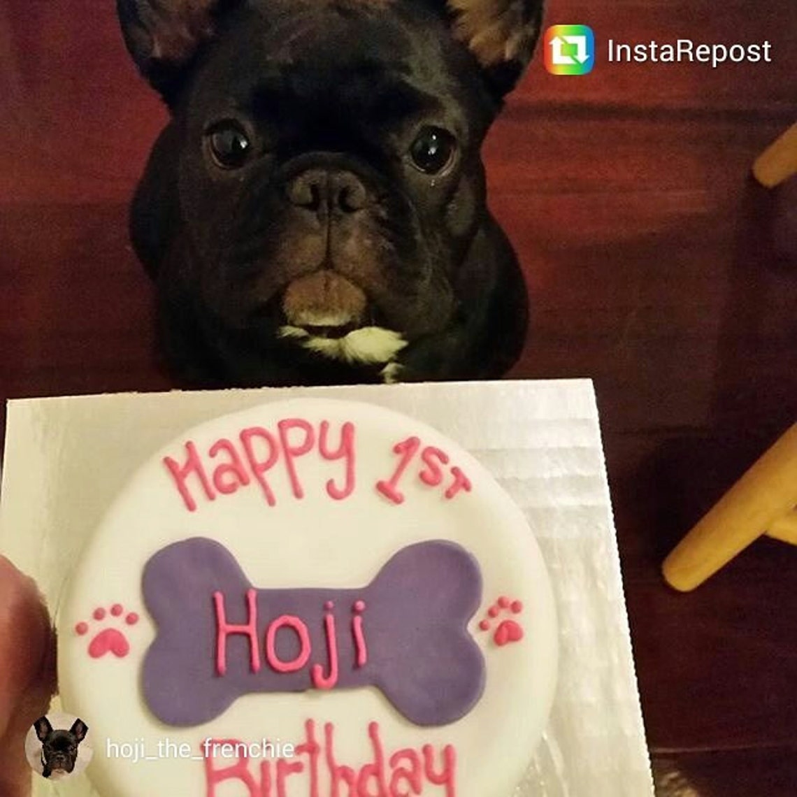 Personalized Birthday 4 Inch Dog Birthday Cake Peanut Butter Banana Pet ...