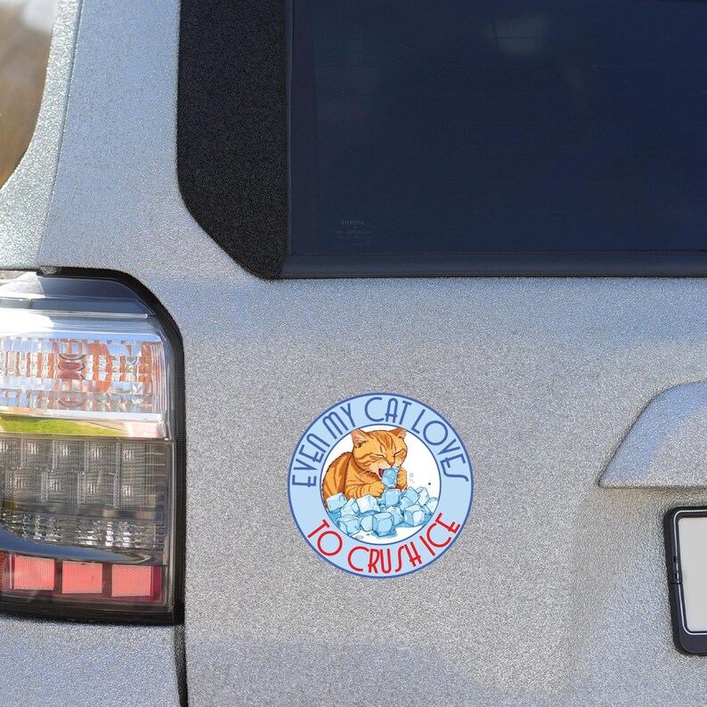ANTI ICE Sticker - Minnesota Protest Decal - "even My Cat Loves to ...