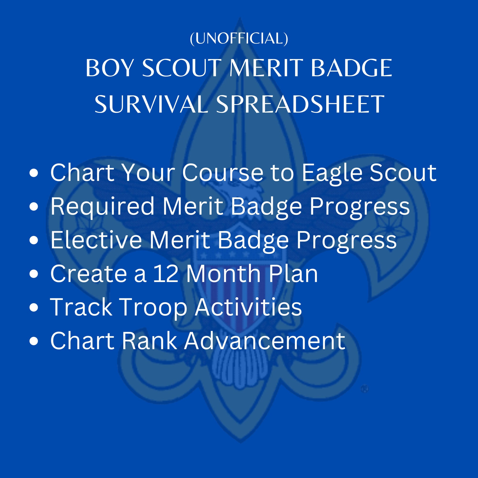 Unofficial Boy Scout Merit Badge Survival Spreadsheet - Etsy