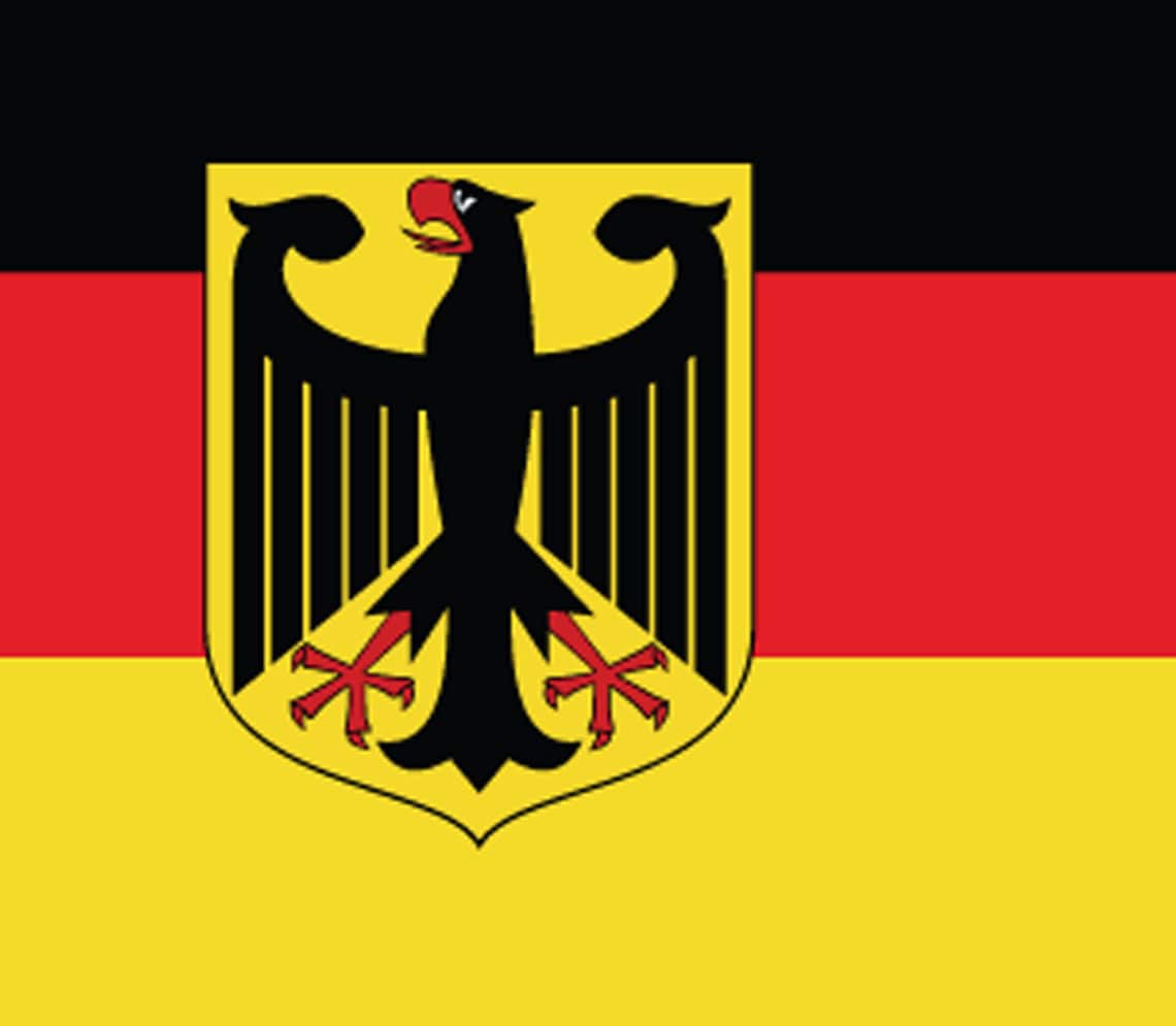 German Flag Toothpick Party Decoration Germany Party Theme | Etsy