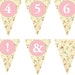 Shabby Chic Printable Party Banner, Vintage Party Banner - Etsy