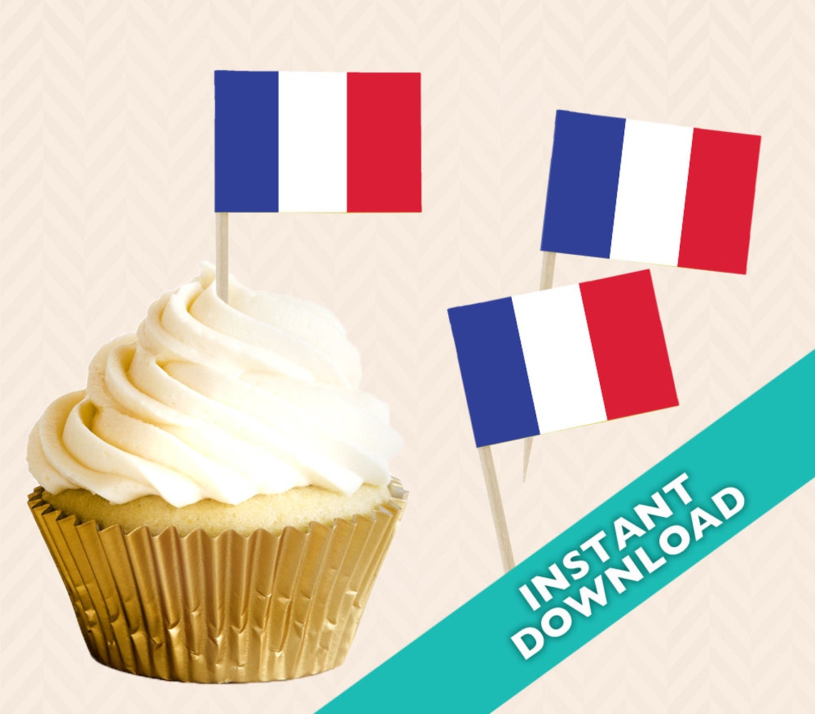 French Flag Toothpick Party Decoration Bastille Day Party | Etsy