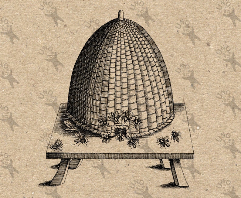 Vintage Image Beehive Bee Hive Instant Download Digital | Etsy