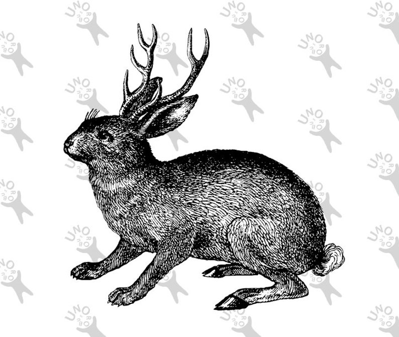 Vintage image Jackalope Rabbit with horns Instant Download | Etsy