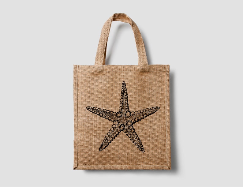 Vintage image Ocean Life Starfish retro drawing Instant | Etsy