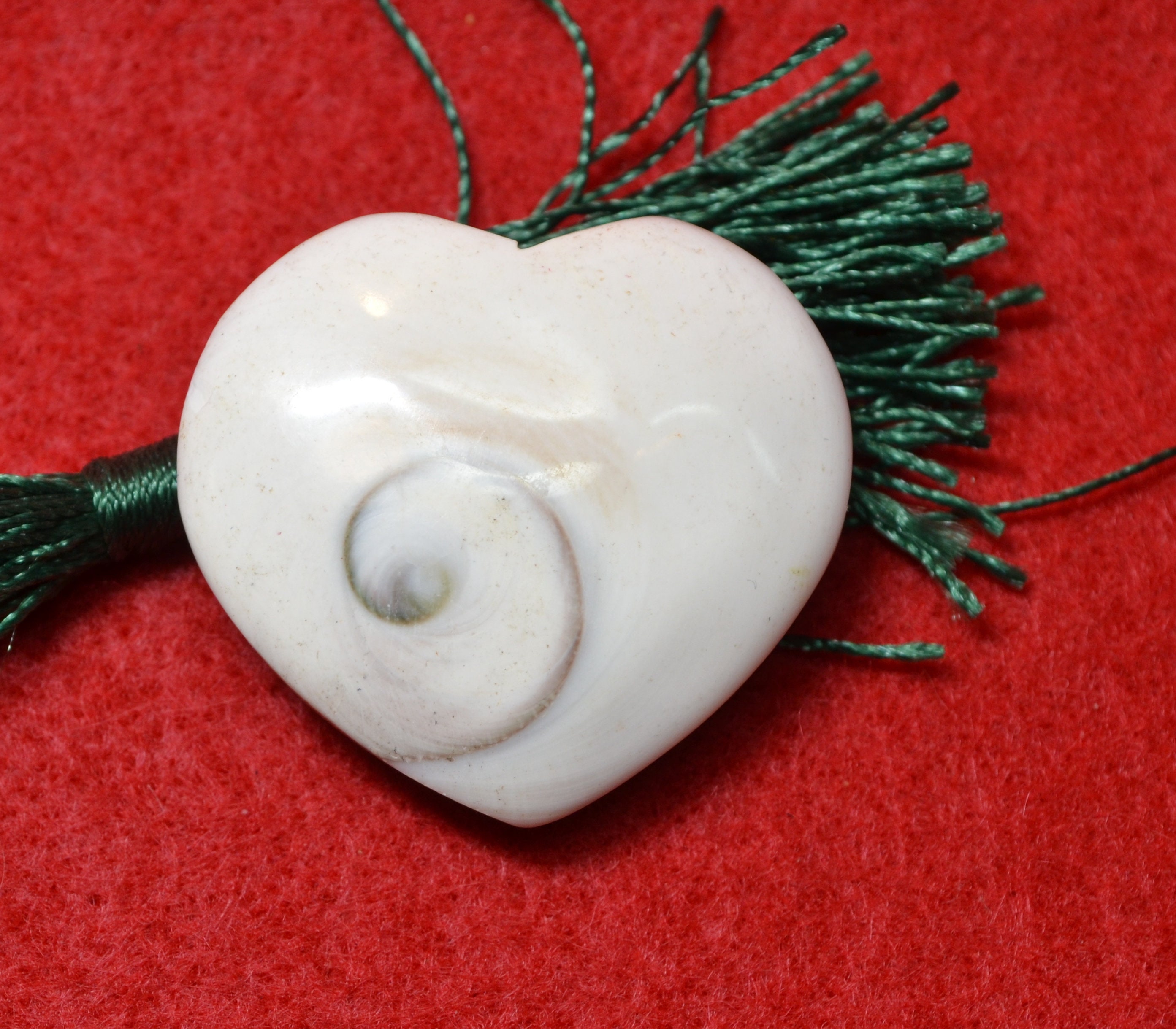 Conch shell heart palm stone TH046 | Etsy