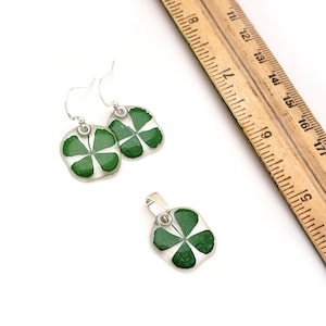 Four Leaf Clover, Real Four Leaf Clover, Luck of the Irish, Gardener ...