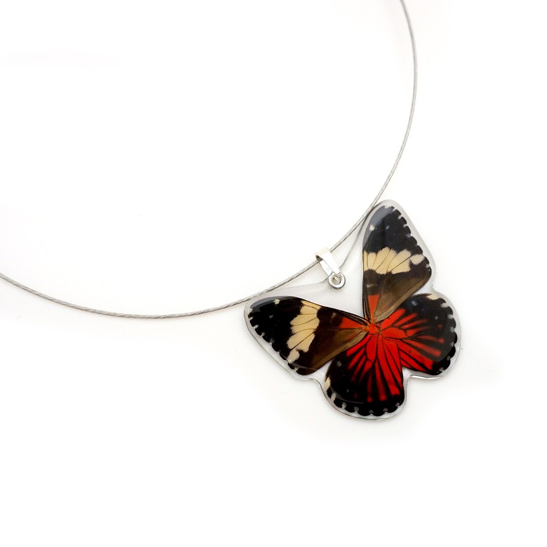 Real Whole Butterfly Pendant Necklace, Hamadryas Amphinome Butterfly ...