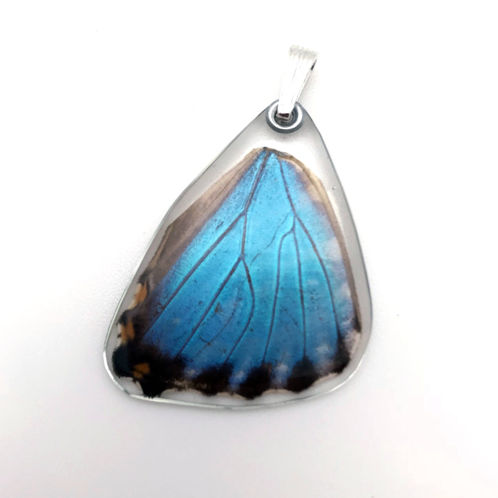 Butterfly Wing Pendant, Real Butterfly Wing, Fairy Wings, Spiritual ...