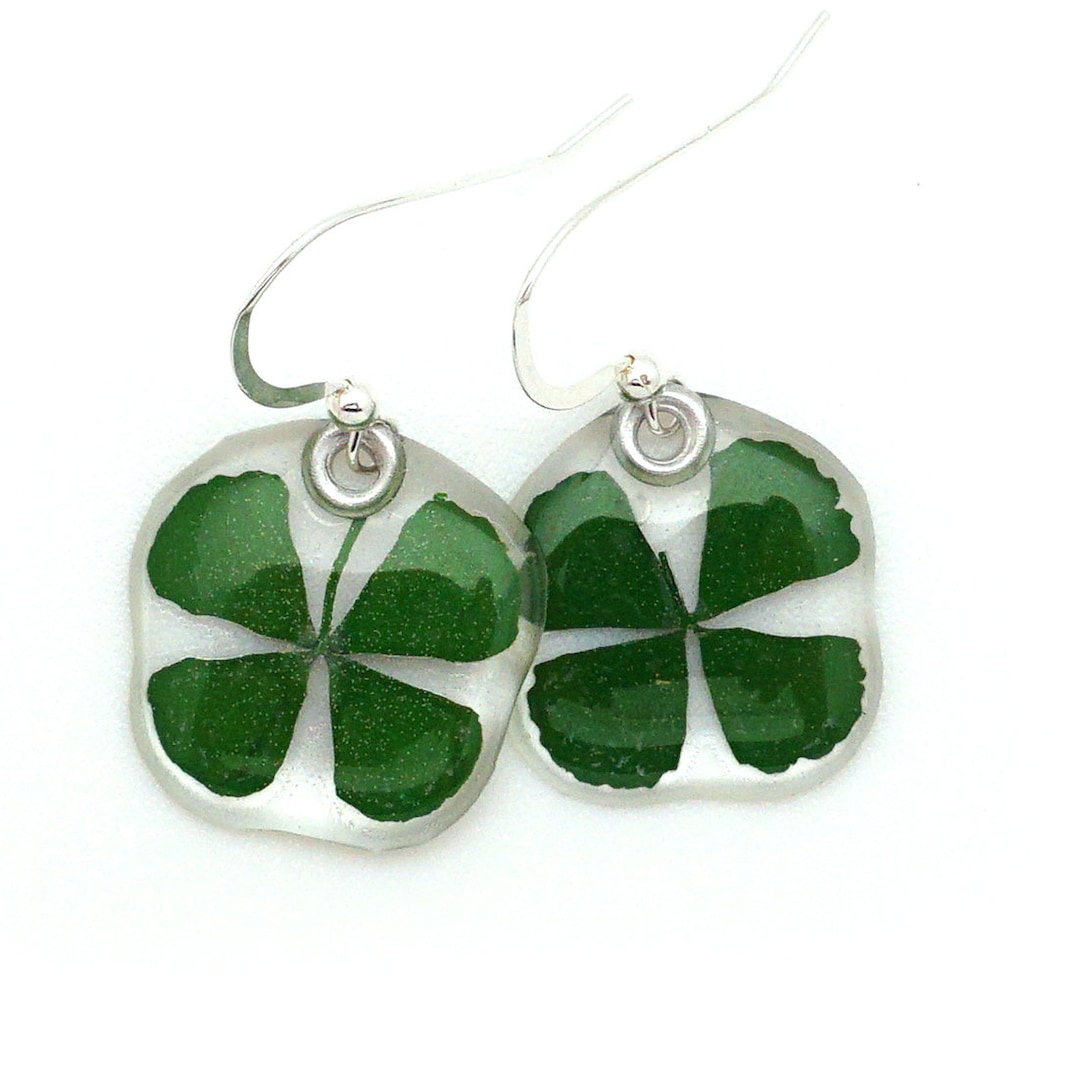Four Leaf Clover, Real Four Leaf Clover, Luck of the Irish, Gardener ...