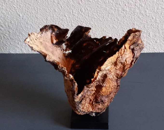 Rare Saguaro Cactus Boot With Saguaro Ridges on One Side With Wood ...